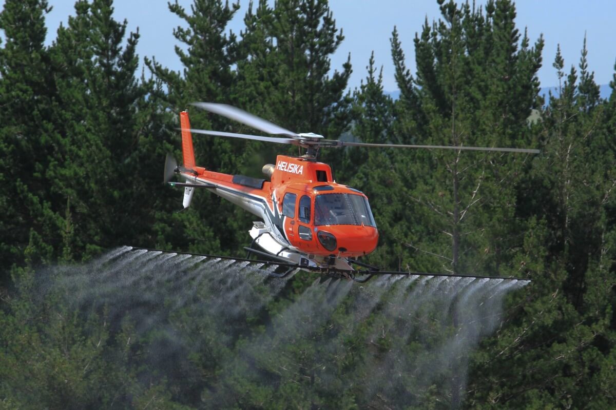 Becoming airborne – Australian Aviation